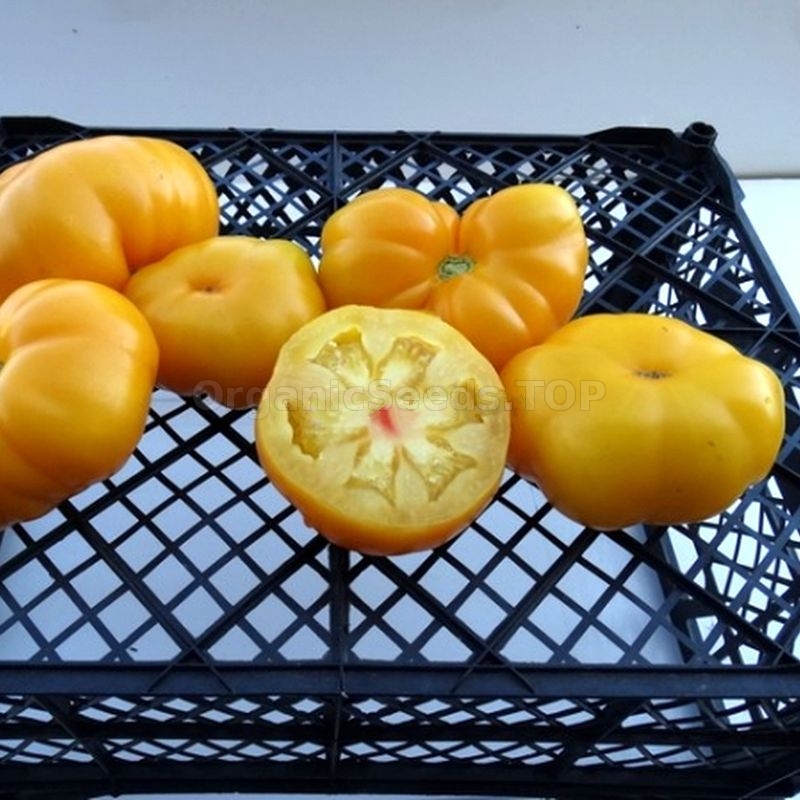 «Kulichek» - Organic Tomato Seeds - Shipping is free for orders over €50