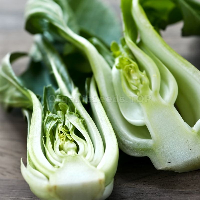 «Baby» - Organic Pak Choi Seeds - Shipping is free for orders over €50