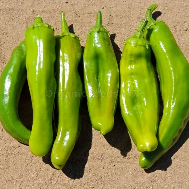 «Anaheim» - Organic Hot Pepper Seeds - Shipping is free for orders over €50