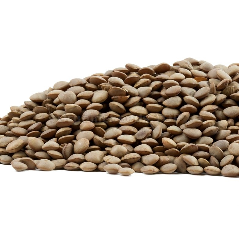 Images «Maximus» - Organic Lentil Seeds - Shipping is free for orders ...