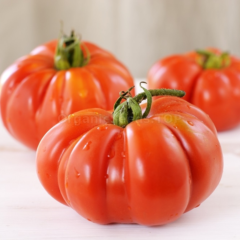 «Brutus» - Organic Tomato Seeds - Shipping is free for orders over €100