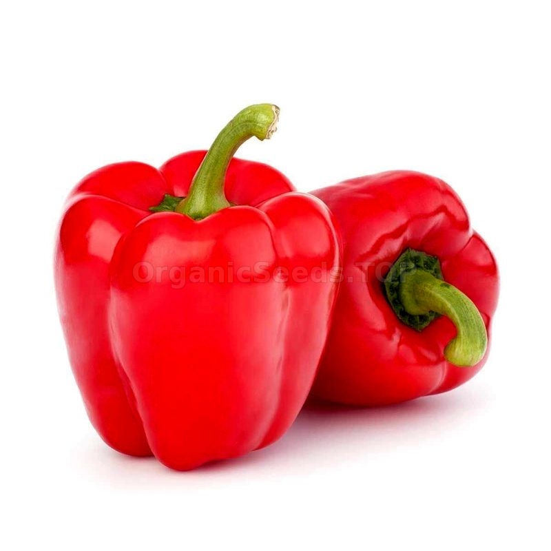 «Asti Red» - Organic Pepper Seeds - Shipping is free for orders over €50