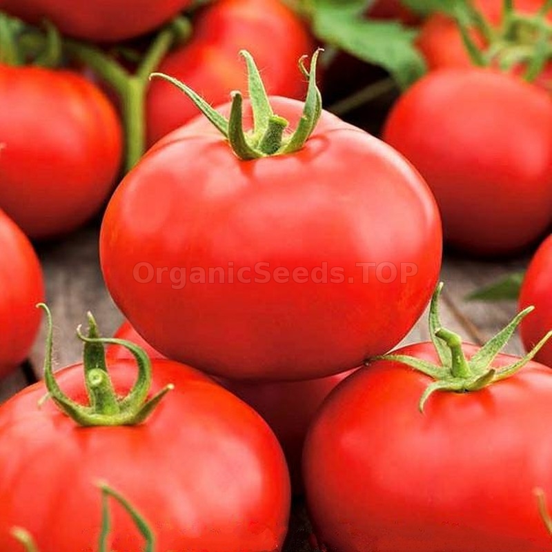 «Raspberry Rodeo» - Organic Tomato Seeds - Shipping is free for orders ...