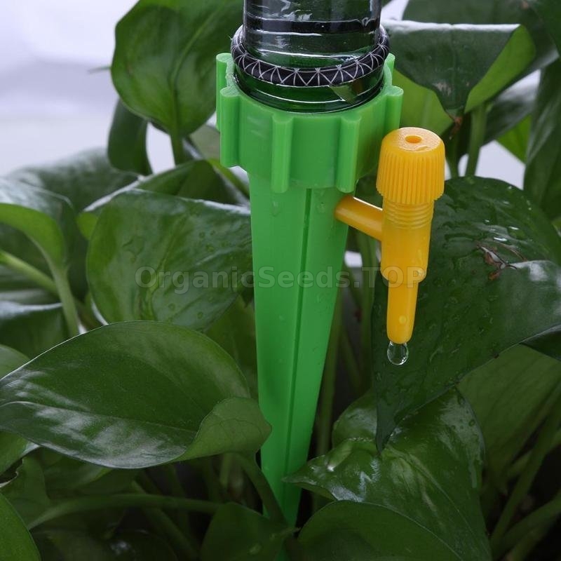Images Aqua-cone for watering indoor flowers - 1 pc. - Shipping is free ...
