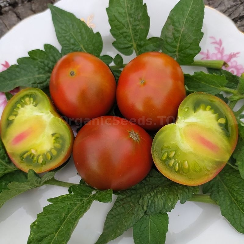 «Dwarf Copperhead» - Organic Tomato Seeds - Shipping is free for orders ...