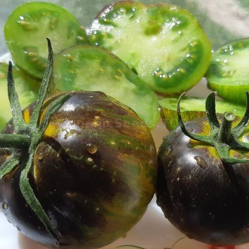 «3242 AL» - Organic Tomato Seeds - Shipping is free for orders over €50