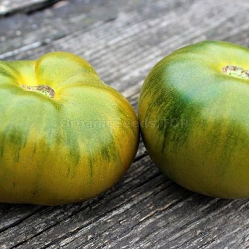 «Absinthe» - Organic Tomato Seeds - Shipping is free for orders over €50