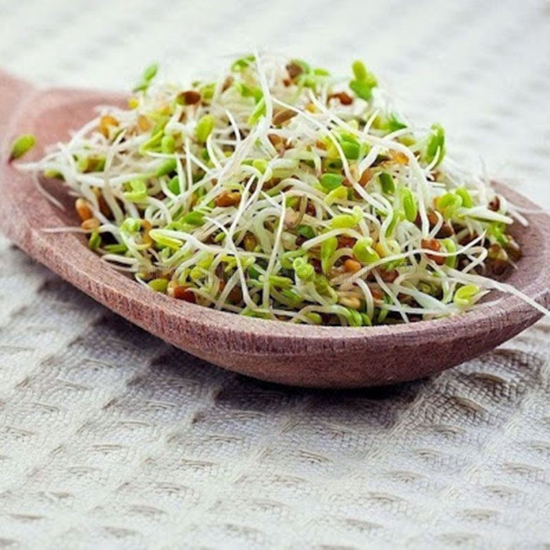 Organic Green Buckwheat Seeds - Shipping is free for orders over €50