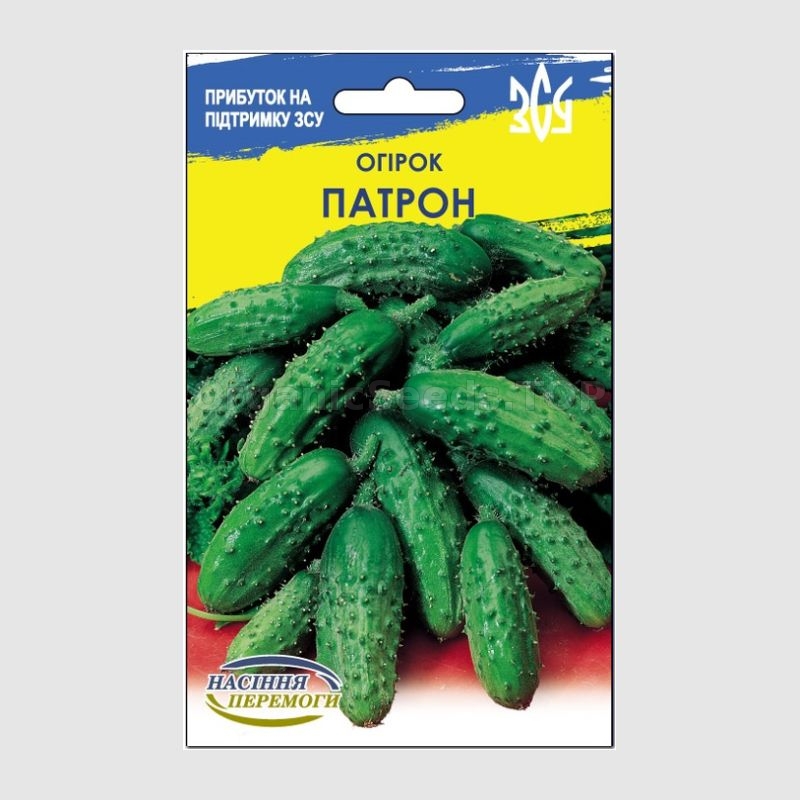 «Patron» - Organic Cucumber Seeds - Shipping is free for orders over €50