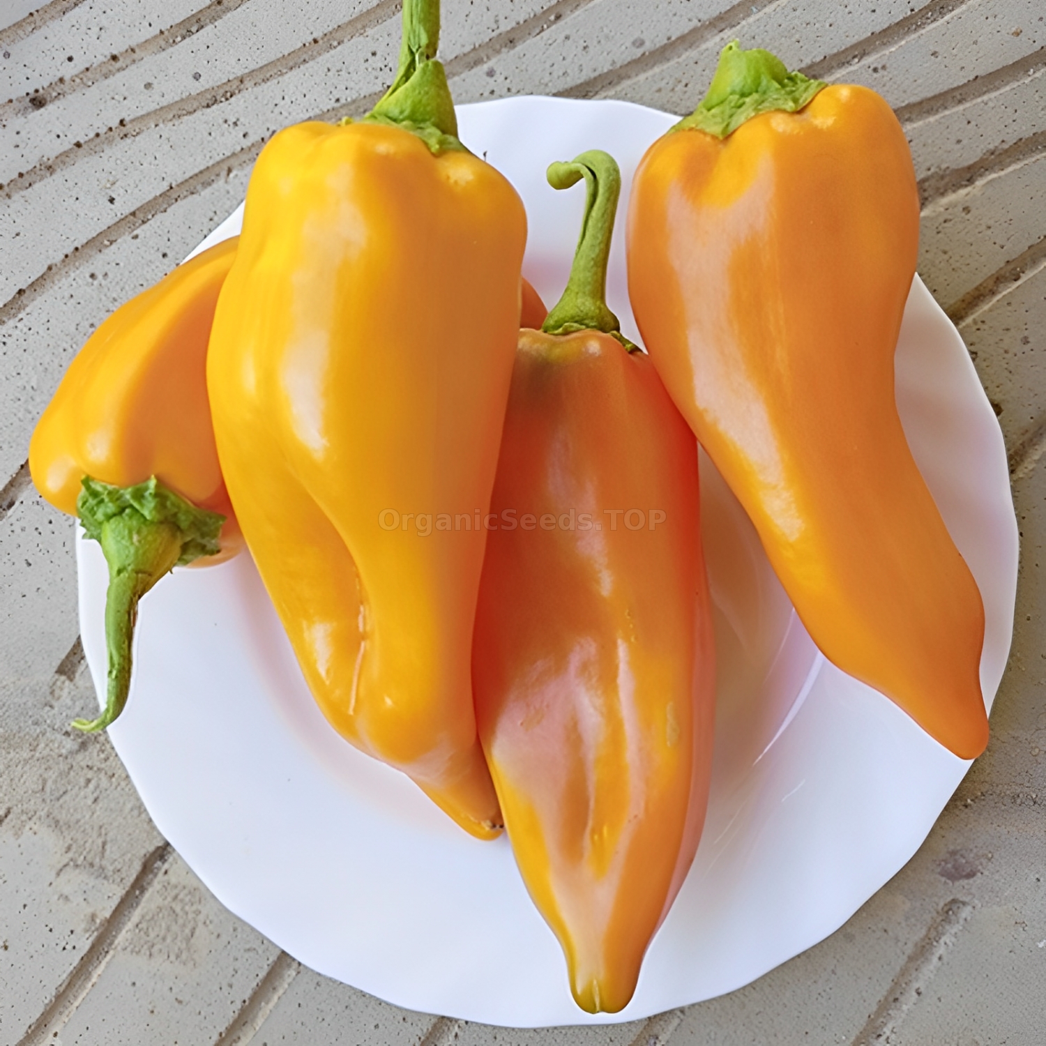 «Carpathia» - Organic Pepper Seeds - Shipping is free for orders over €50