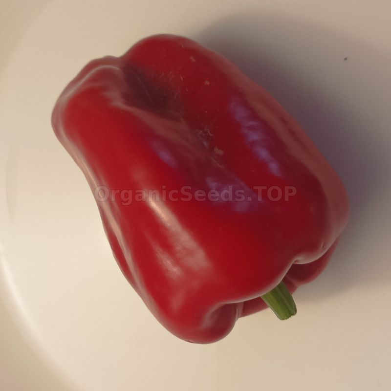 «Ukrainian sweet red» - Organic Pepper Seeds - Shipping is free for ...