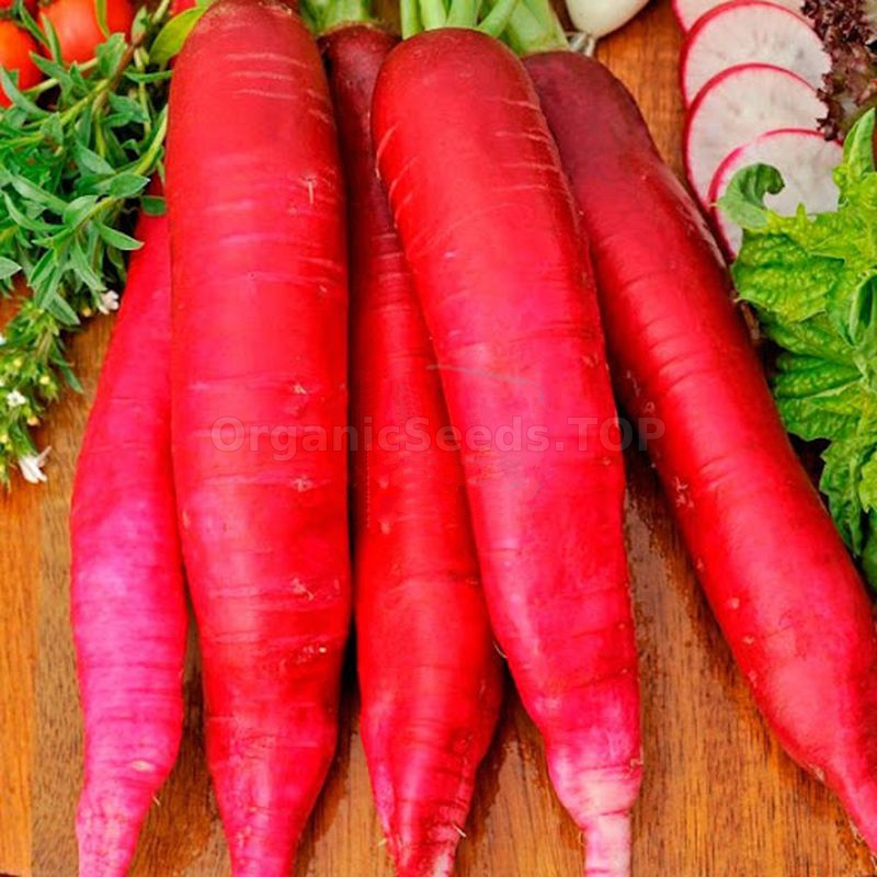 «Red Giant» - Organic Radish seeds - Shipping is free for orders over €100