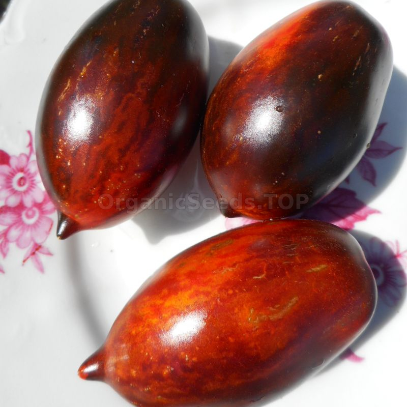 Images «Dwarf Shadow Boxing» - Organic Tomato Seeds - Shipping is free ...