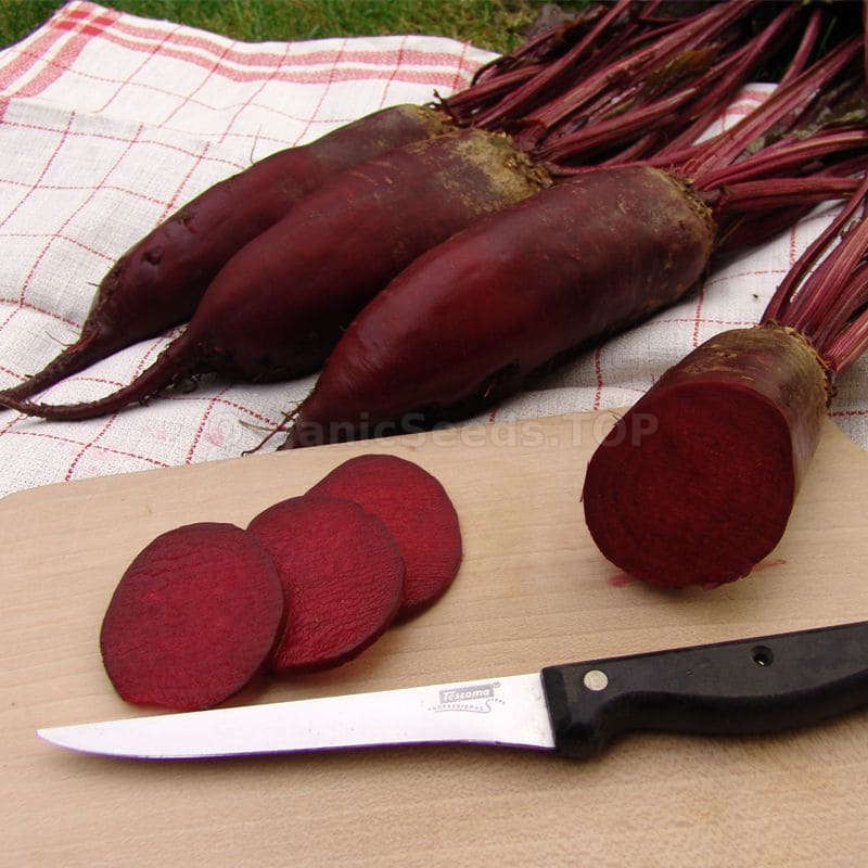 Images «Monorubra» - Organic Beetroot Seeds - Shipping is free for ...