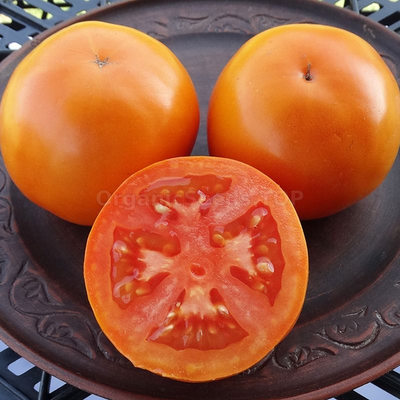 Images «Zero» - Organic Tomato Seeds - Shipping is free for orders over €50
