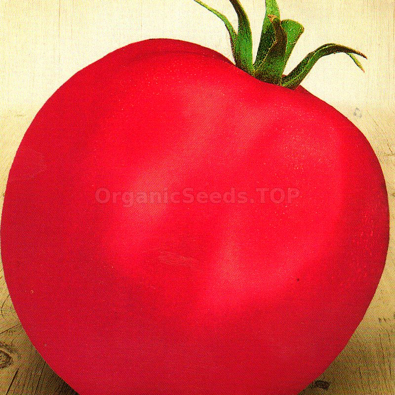 Images «Batyanya» - Organic Tomato Seeds - Shipping is free for orders over €50