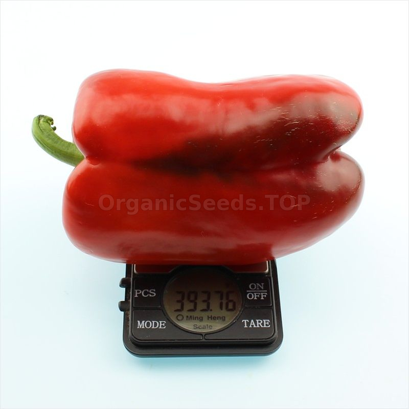 Images «Red giant» - Organic Pepper Seeds - Shipping is free for orders ...