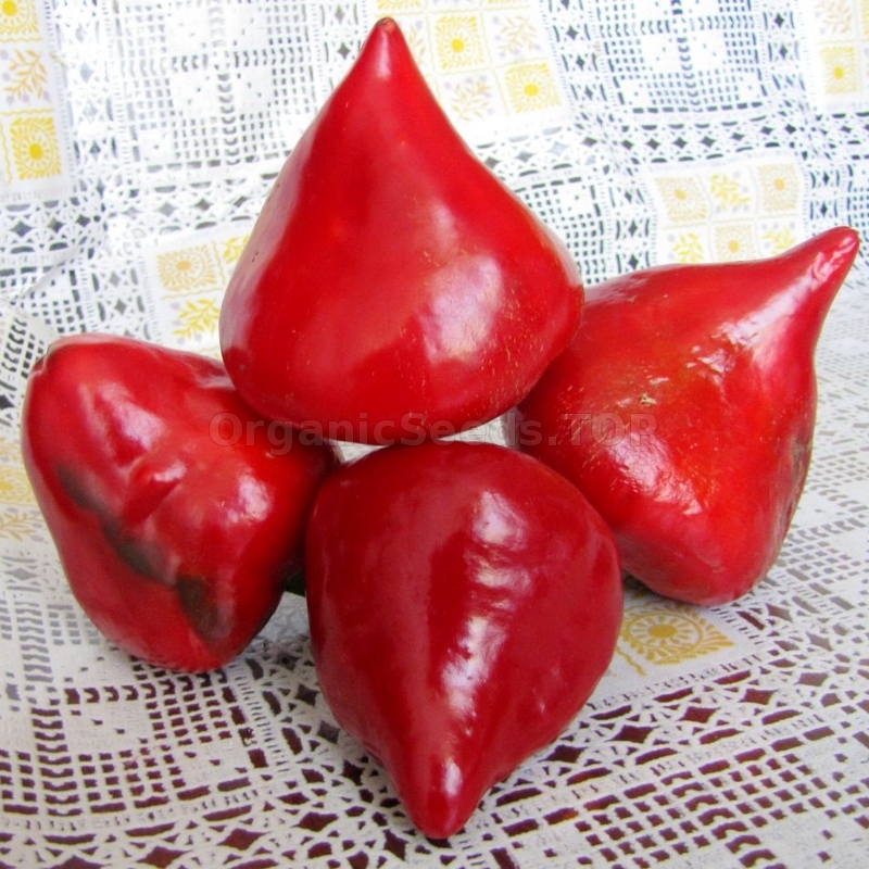 Reviews «Lesya» - Organic Sweet Pepper Seeds - Shipping is free for ...